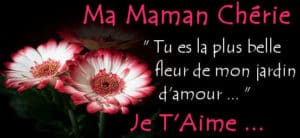 Beaux messages Fêtes des mères Textes bonne fête maman Citation Carte